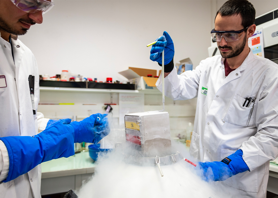 Transitions: call for innovation in research laboratories - University ...