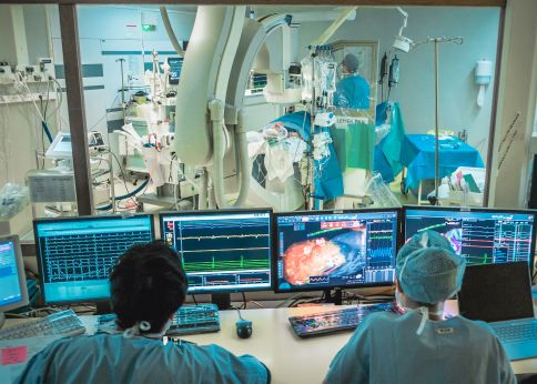 A virus scrutinised by the European project Horus - University of Bordeaux