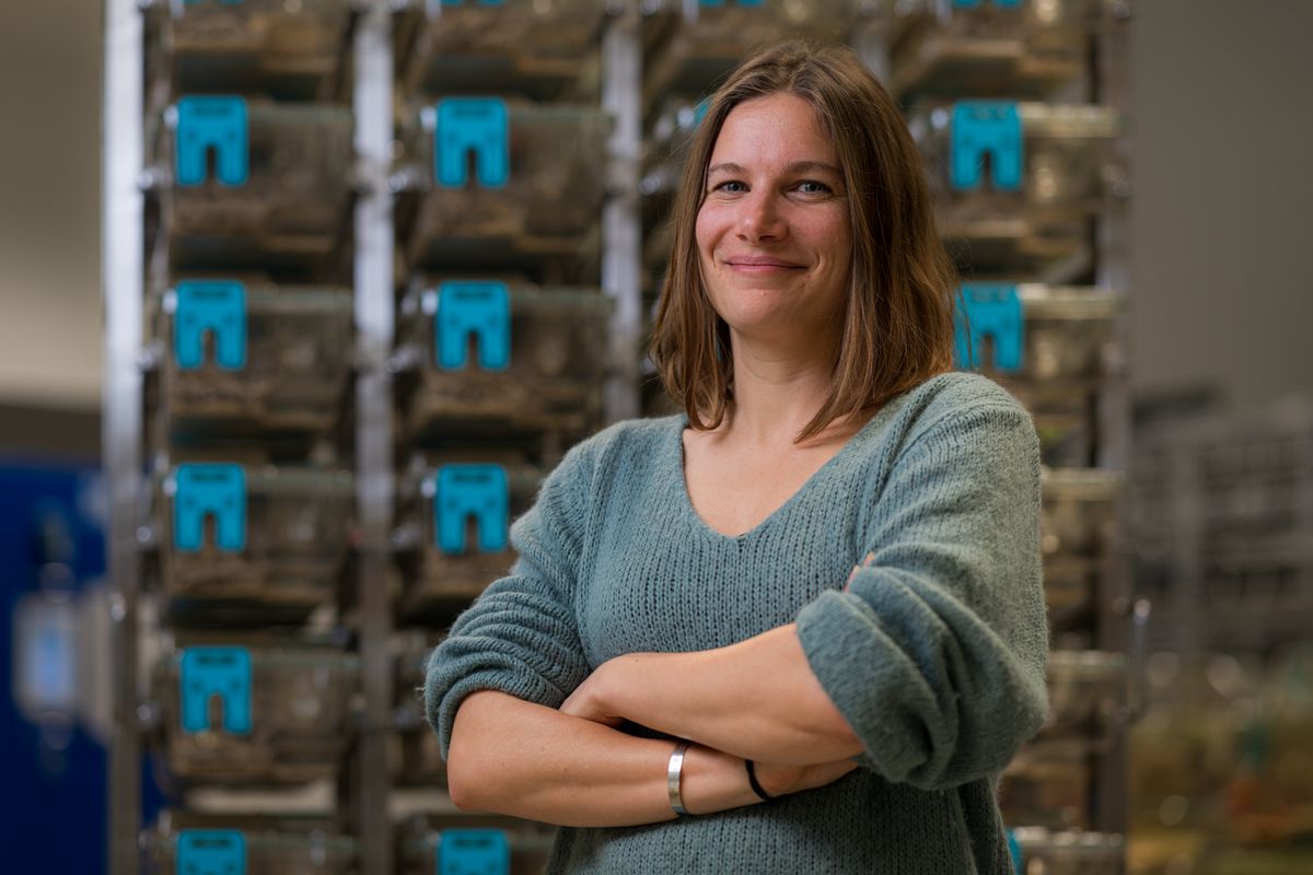 Elles et ils font l'université de Bordeaux - Université de Bordeaux