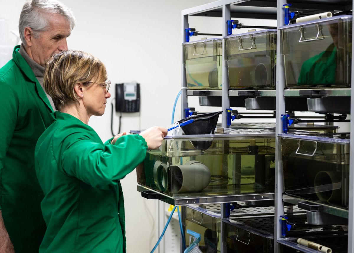 Biological and medical sciences - University of Bordeaux