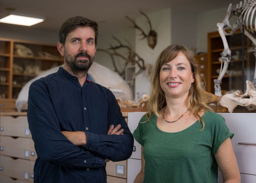 Les sciences archéologiques en interface - Université de Bordeaux