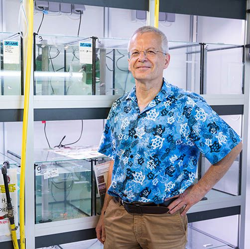 Il était une fois… le poisson zèbre - Université de Bordeaux